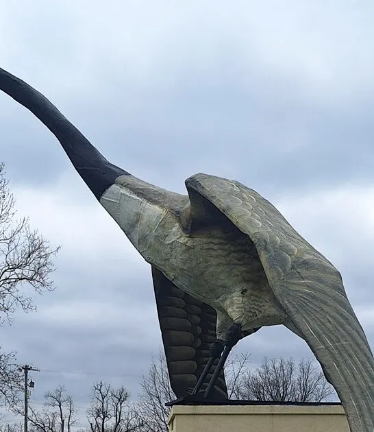 worlds largest goose missouri ftr