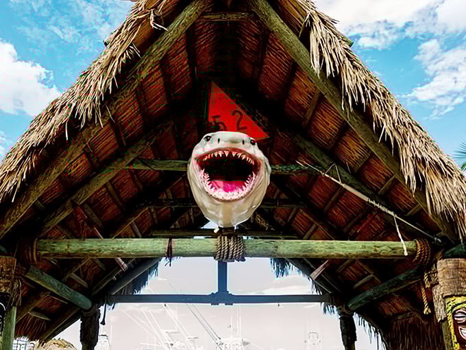 The shark greeting you at Tiki 52's entrance isn't just decoration—it's Florida's version of a maître d', silently promising adventures in flavor beneath that thatched roof.