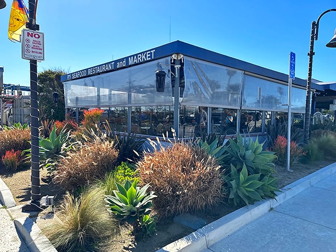 The Spanish-style charm of Andria's exterior says it all—no pretension, just the promise of seafood that'll make you weep with joy.