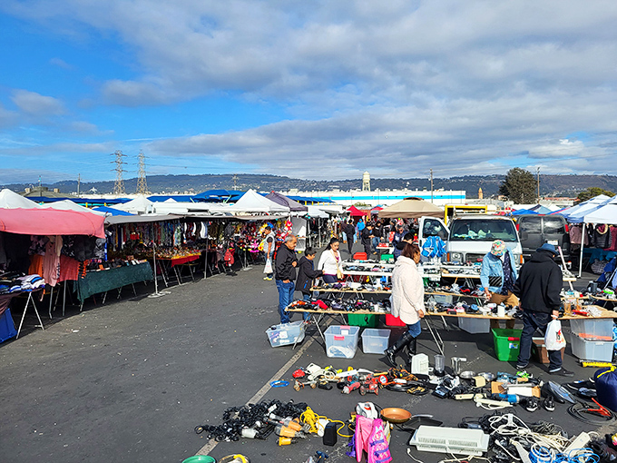The Oakland Coliseum Flea Market stretches as far as the eye can see, a colorful patchwork of tents where treasure hunting becomes an Olympic sport.