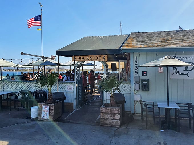 Waterfront dining doesn't get more authentic than this—Tognazzini's Dockside Too sits right on the wooden planks where your lunch was probably swimming yesterday morning.