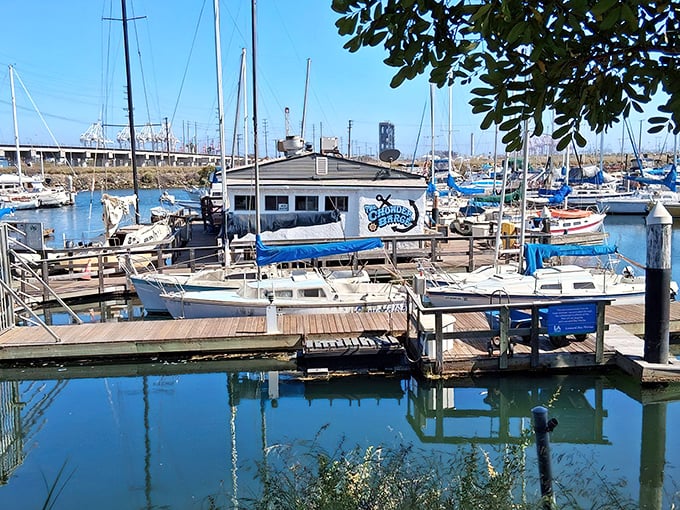 Floating serenely among sailboats in Leeward Bay Marina, The Chowder Barge isn't just a restaurant—it's a maritime adventure waiting to happen.