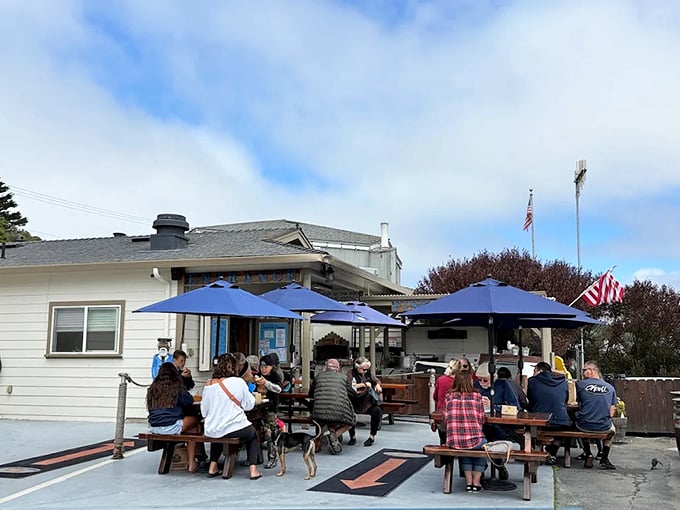 The unassuming seafood sanctuary where vintage trucks meet hungry pilgrims. Blue umbrellas shield diners from fog while the aroma of fresh crab works its magic.