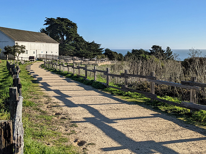 A sandy viewing platform offers nature's perfect balcony, where the Pacific stretches endlessly before you like the world's biggest blue carpet.
