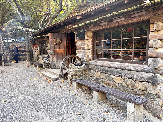 Time travel doesn't require a DeLorean—just a drive to this rustic log cabin where wagon wheels and weathered wood tell stories of California's stagecoach era.