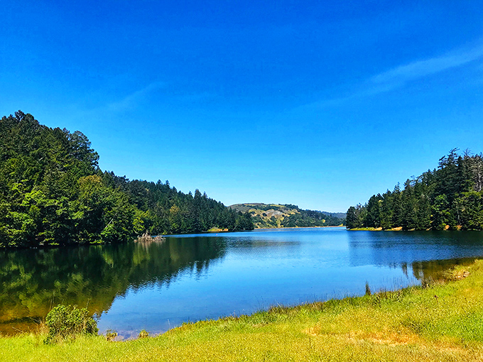 Alpine Lake shimmers like nature's mirror, reflecting the surrounding forest with such perfection you'll wonder which side is real and which is the reflection.