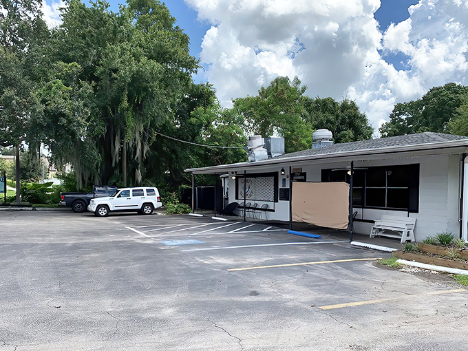 The unassuming lime-green exterior of Harry's Old Place proves once again that Florida's best seafood treasures often hide in plain sight.