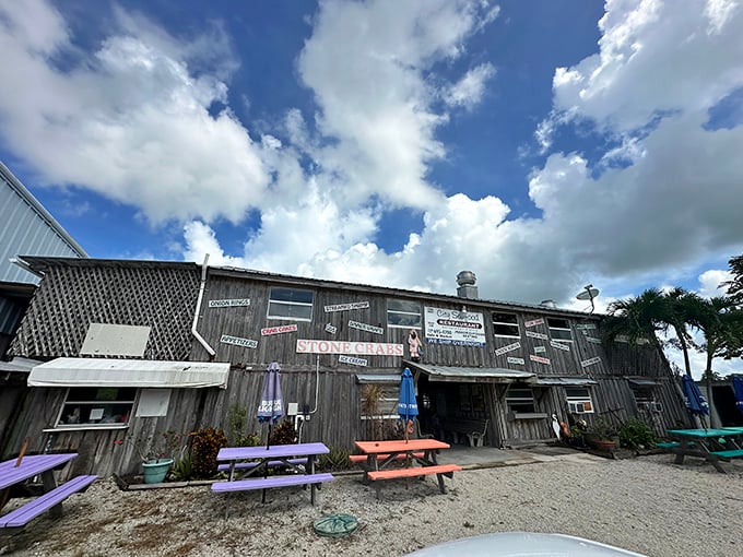 This weathered beauty looks like it survived every hurricane since the Nixon administration—and probably has the stories to prove it.
