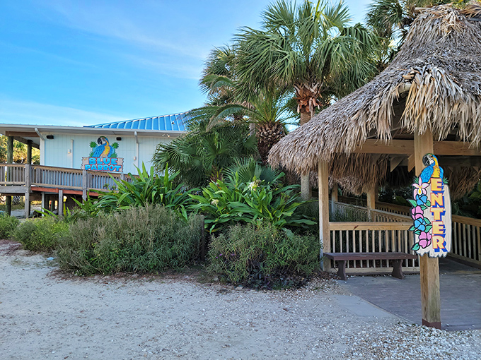 Where thatched roofs meet turquoise waters—the Blue Parrot's beachfront entrance promises Florida coastal dining without a hint of pretension.