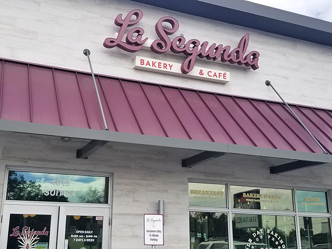 The iconic pink sign of La Segunda beckons like a neon promise of carb-laden bliss. Tampa's Cuban bread headquarters doesn't need flashy advertising—just follow your nose.