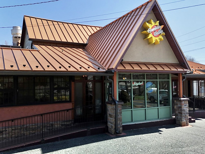 That cheerful yellow sun logo isn't just decoration – it's a promise of the sunshine waiting inside.