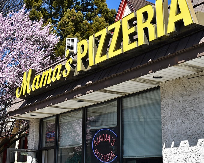 The iconic yellow Mama's Pizzeria sign stands out like a beacon of hope for the hungry, framed by cherry blossoms that seem to celebrate its very existence.