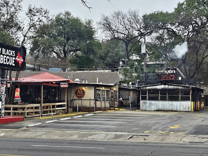The promised land of smoked meat awaits, where vegetarians accidentally find religion and carnivores find home.