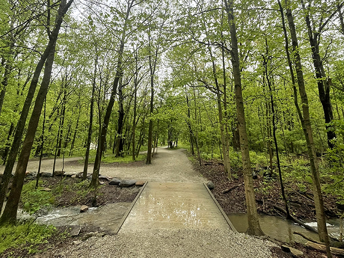 Nature's perfect mirror show at the pond entrance, where every tree gets to admire its reflection while visitors pause on the wooden observation deck.