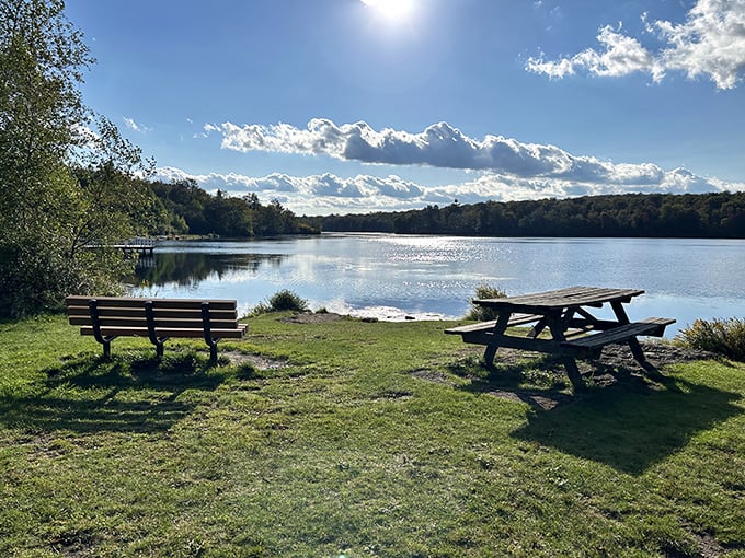 Nature's perfect postcard moment: a bench, a picnic table, and a glistening lake that reflects the sky like it's showing off for company.
