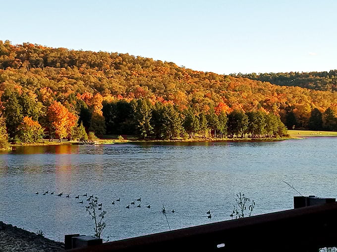 Nature's perfect canvas unfolds at Chapman State Park, where autumn transforms the shoreline into a masterpiece that would make Bob Ross reach for his palette.