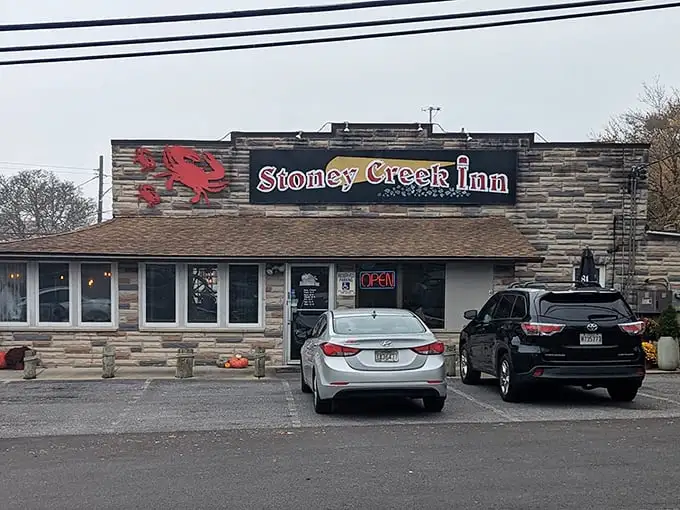 Sometimes the best treasures hide behind the most unassuming facades in suburban Maryland.