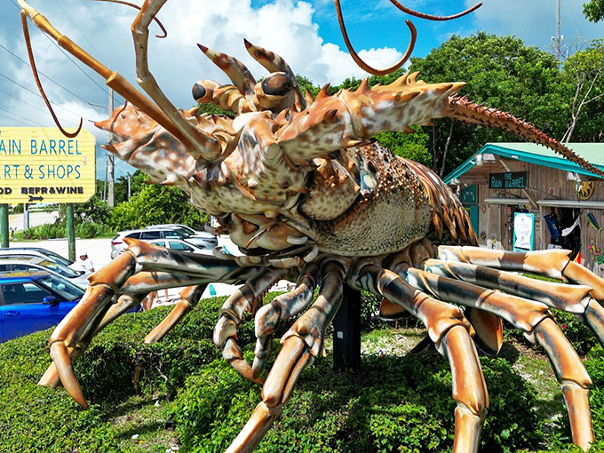 Betsy the Lobster stands proudly along the Overseas Highway, her massive copper-colored form gleaming in the Florida sunshine like a crustacean colossus.