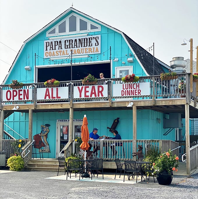 The turquoise barn-shaped building of Papa Grande's stands out like a delicious mirage, promising Mexican flavors with coastal flair year-round.