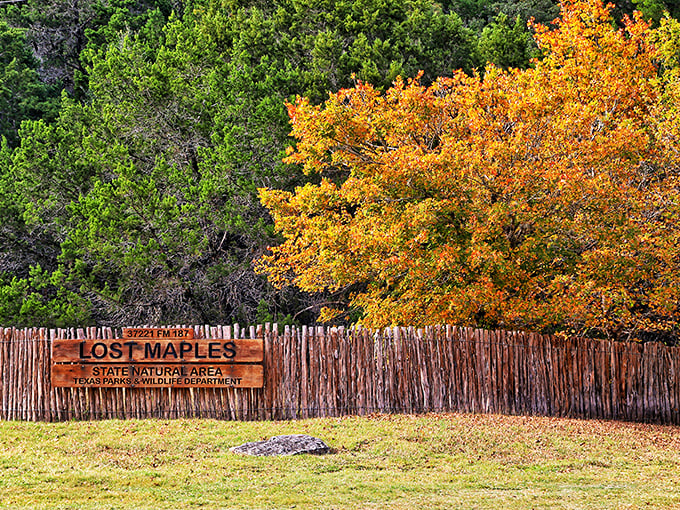 Nature's own infinity pool where the Sabinal River creates a perfect mirror for the surrounding Hill Country landscape.