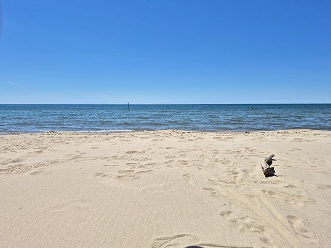 Pure Michigan perfection: where the horizon meets infinity and your worries dissolve faster than an ice cream cone in July heat.