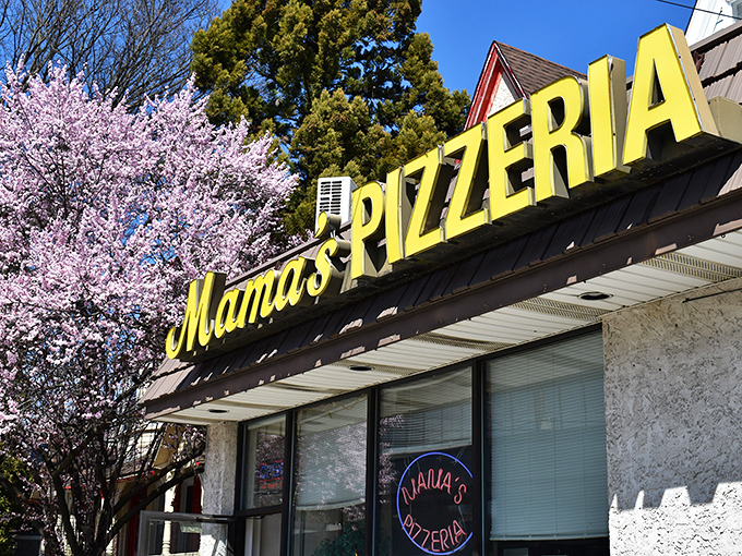 The iconic yellow sign of Mama's Pizzeria stands out against cherry blossoms like a culinary landmark that locals have treasured for generations.