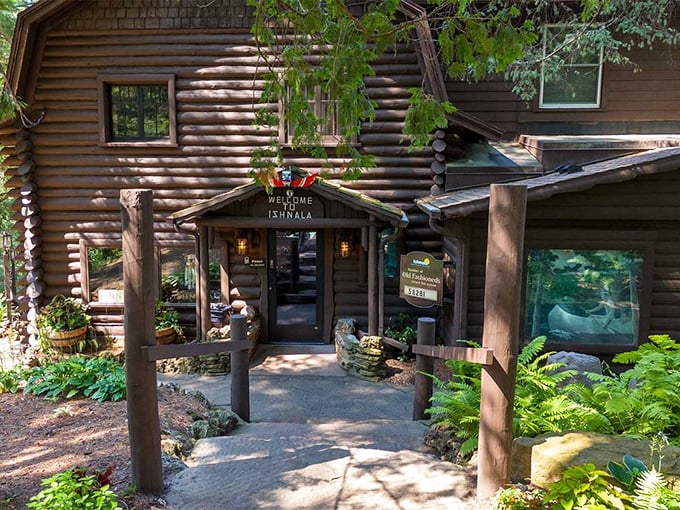 Nature doesn't just surround Ishnala—it embraces it. This log cabin entrance, nestled among towering pines, promises wilderness luxury before you even step inside.