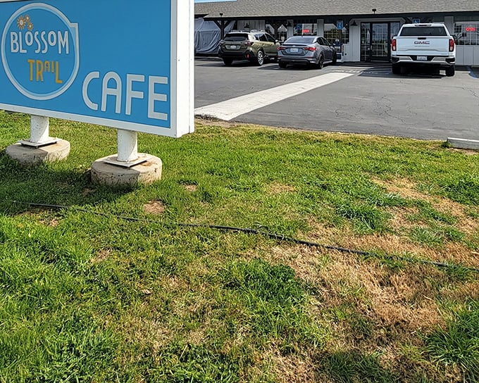 The unassuming exterior of Blossom Trail Cafe proves once again that culinary treasures often hide in plain sight. No fancy frills, just breakfast thrills await inside.