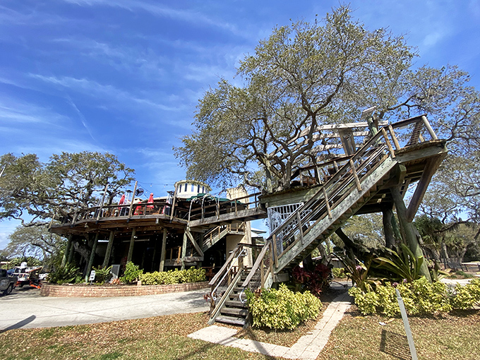 Childhood dreams realized! Norwood's treehouse structure rises majestically among live oaks, proving adulthood can actually improve on our youthful fantasies.