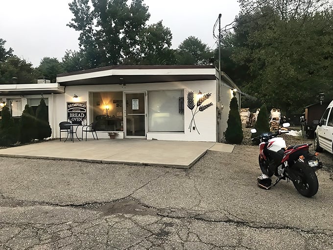 This unassuming storefront holds pizza secrets that would make a Neapolitan weep with joy.