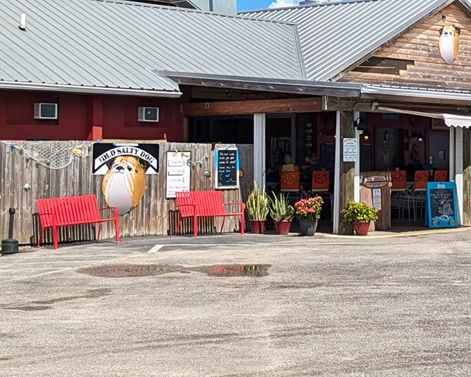 The weathered charm of The Old Salty Dog's exterior isn't by design—it's earned through years of salty air and satisfied customers. Those red benches aren't just for show.