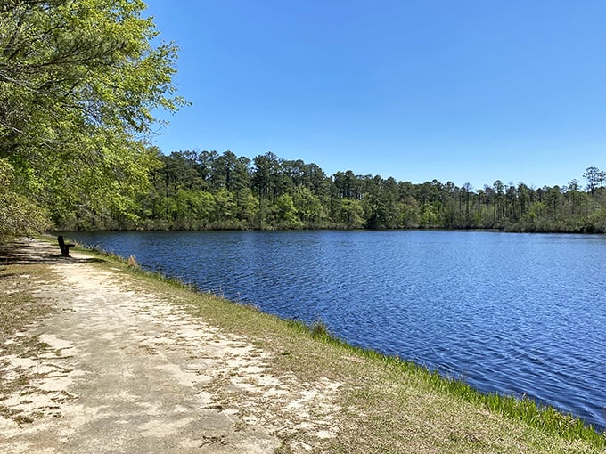 Mother Nature's mirror game is strong here. The still waters of Aiken State Park reflect towering pines and blue skies, creating a double dose of serenity.