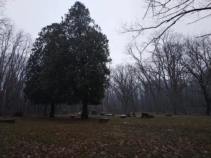 The infamous Fulton gravestone stands sentinel in the mist, while a visitor with a flashlight creates an unintentionally perfect ghost story setting.
