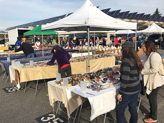 Blue skies and bargain hunters unite under solar panel canopies, where treasure hunting becomes an Olympic sport every first Saturday of the month.