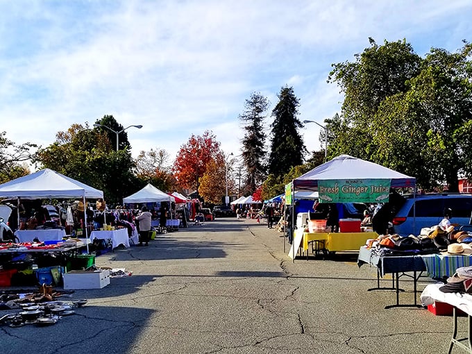 White tents stretch across the Ashby BART parking lot like a village of possibility, where weekend treasure hunters navigate the maze of potential discoveries.