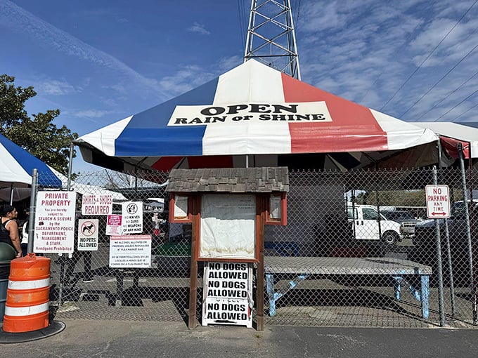 The iconic red, white, and blue entrance tent stands like a carnival barker announcing "OPEN RAIN or SHINE" – a promise that treasure hunting waits for no weather forecast.