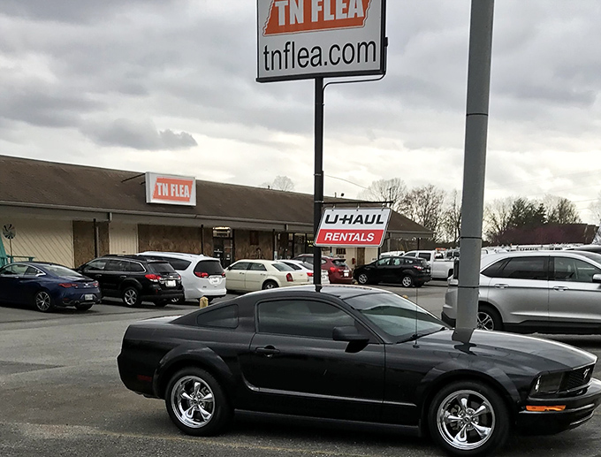 This unassuming storefront holds more treasures than a pirate's chest – and better parking too.