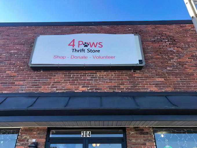 The unassuming brick façade of 4 Paws Thrift Store hides a treasure trove within. Like finding the wardrobe to Narnia, but for bargain hunters.