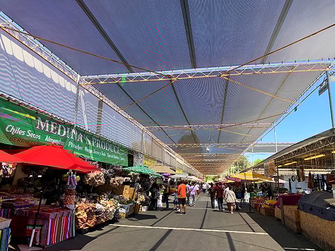 Welcome to retail paradise! The San Jose Flea Market's endless rows of merchandise promise treasure hunting adventures that'll make your inner bargain hunter rejoice.