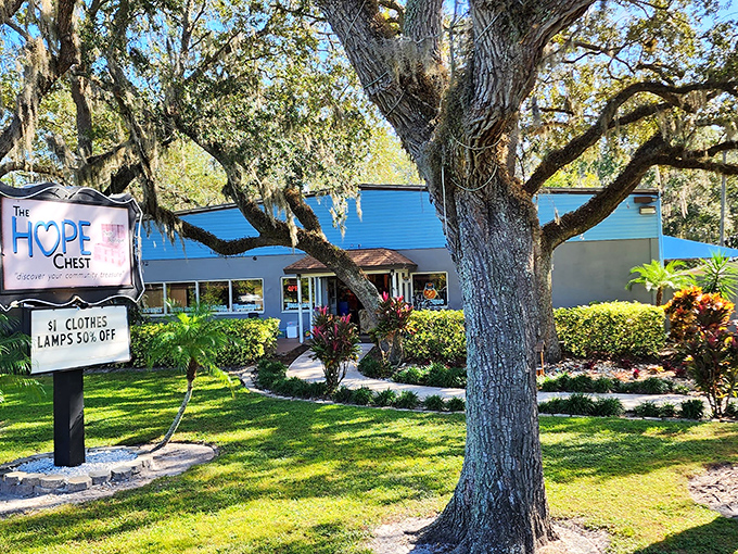 Nestled under Florida's iconic Spanish moss, The HOPE Chest's welcoming blue exterior promises treasures within. Community spirit meets bargain hunting at its finest.