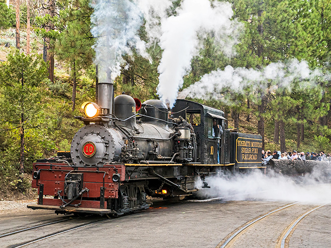 Iron beast awakens! The historic Shay locomotive roars to life, billowing steam clouds that dance through towering pines like ghostly time travelers.