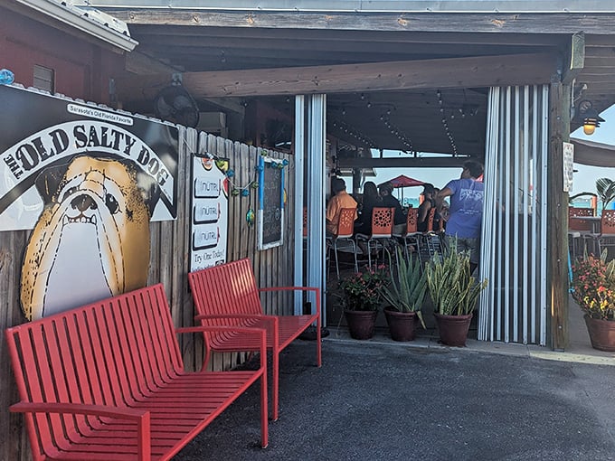 The weathered charm of The Old Salty Dog's exterior isn't by design—it's earned through years of salty air and satisfied customers. Those red benches aren't just for show.