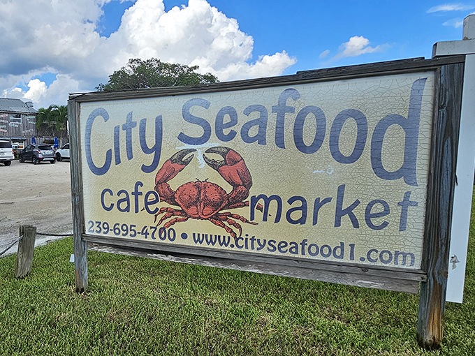 The weathered wooden exterior of City Seafood tells you everything you need to know—this place is about substance over style, and those colorful picnic tables promise a good time.