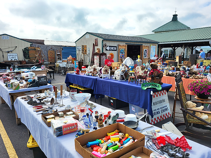 Treasure hunting paradise! Tables laden with collectibles stretch across the Silver Moon Flea Market, where one person's castoffs become another's prized possessions.