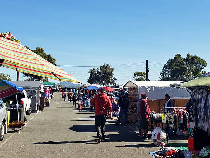 The National City Swap Meet spreads before you like a treasure hunter's dream come true under California skies.