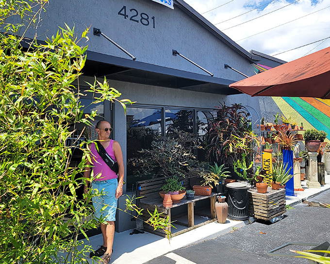 The entrance to OddBalls is like Mother Nature's garage sale – potted plants, garden sculptures, and tropical greenery creating a jungle of possibilities before you even step inside.