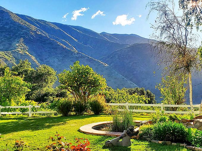 The Topatopa Mountains cradle Ojai Valley like nature's retirement plan – complete with sunshine, serenity, and views that make your 401(k) seem irrelevant.