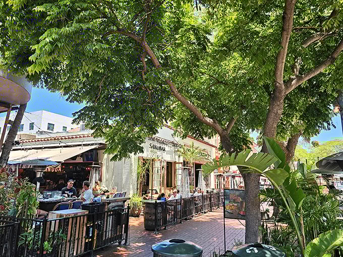 Santa Barbara's architectural charm meets culinary magic at Sandbar's inviting patio. Those leafy trees aren't just for show—they're nature's air conditioning for your taco enjoyment.