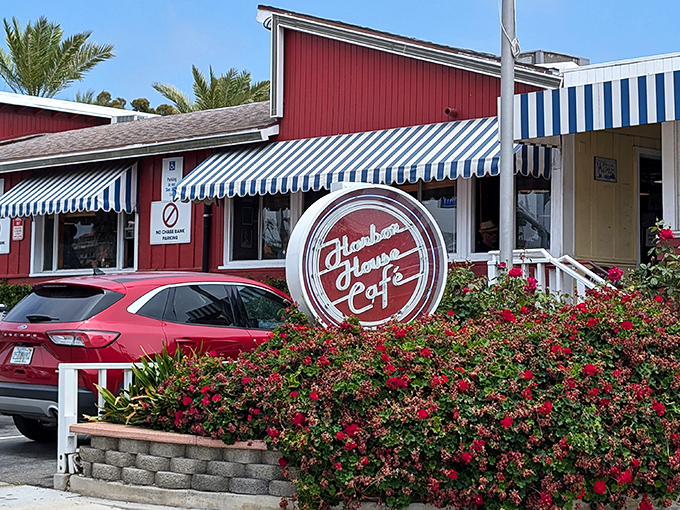 The iconic red exterior of Harbor House Cafe stands out like a beacon of comfort food hope along PCH, complete with those classic blue and white striped awnings.