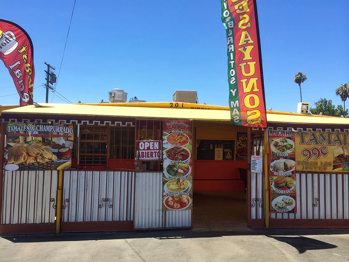Don't judge this book by its cover – behind that humble facade lies tamale magic that'll change your life forever. 